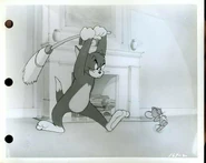 Kitty Foiled | Tom and Jerry Wiki | Fandom