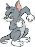 Tom Cat/Gallery | Tom and Jerry Wiki | Fandom
