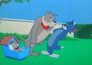 Hic-cup Pup | Tom and Jerry Wiki | Fandom
