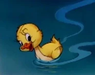 Quacker | Tom and Jerry Wiki | Fandom