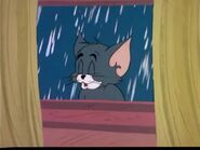 New Mouse in the House | Tom and Jerry Wiki | Fandom