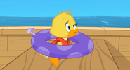 Quacker | Tom and Jerry Wiki | Fandom