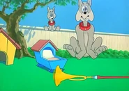 Hic-cup Pup | Tom and Jerry Wiki | Fandom