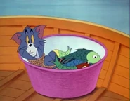 Down and Outing/Gallery | Tom and Jerry Wiki | Fandom