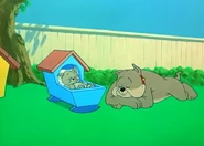 Hic-cup Pup | Tom and Jerry Wiki | Fandom