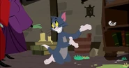 Black Cat | Tom and Jerry Wiki | Fandom
