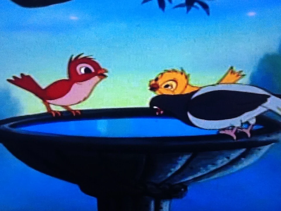Birds | Tom and Jerry Wiki | Fandom