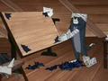 Shutter Bugged Cat | Tom and Jerry Wiki | Fandom