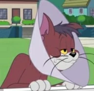 Mittens | Tom and Jerry Wiki | Fandom