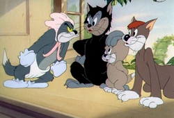 Tom And Jerry Meathead
