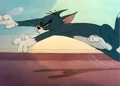 Kitty Foiled/Gallery | Tom and Jerry Wiki | Fandom