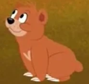 Bear Cub | Tom and Jerry Wiki | Fandom