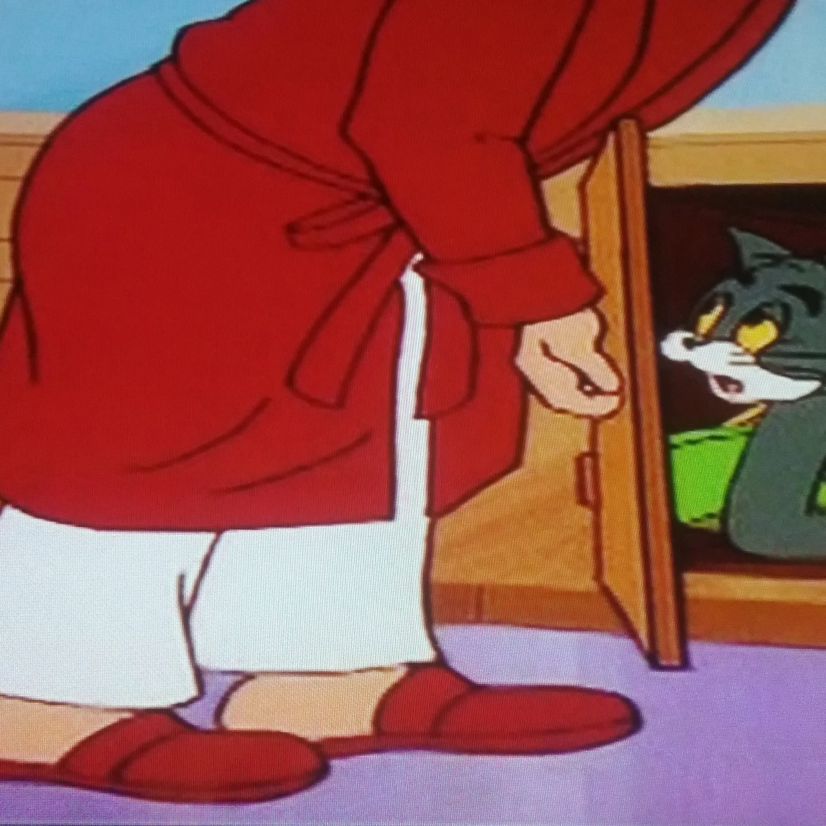 Tom's owner (The Tom and Jerry Comedy Show) | Tom and Jerry Wiki | Fandom