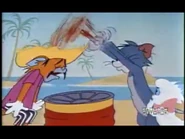 Calypso Cat | Tom and Jerry Wiki | Fandom