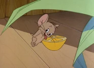 The Cat Above and The Mouse Below | Tom and Jerry Wiki | Fandom
