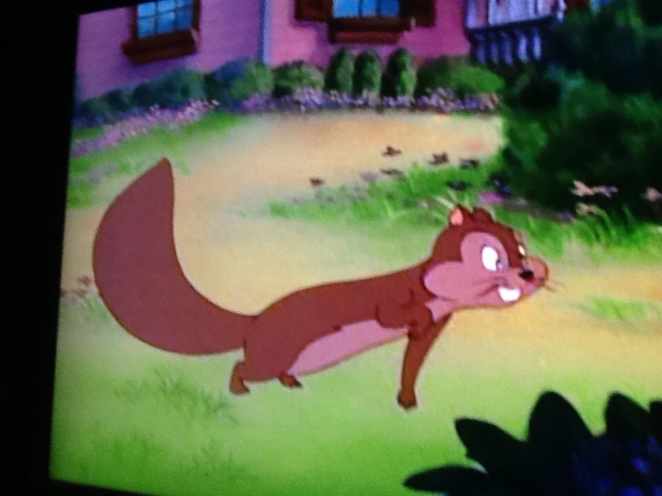 Squirrel (Tom and Jerry: The Movie) | Tom and Jerry Wiki | Fandom