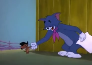 Posse Cat/Gallery | Tom and Jerry Wiki | Fandom
