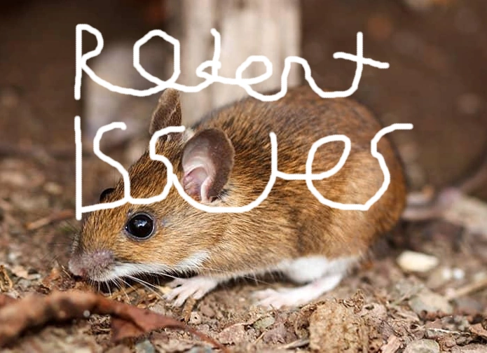 Rodent Issues | Tom and Jerry Fanon Wiki | Fandom