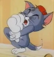 Bat Mouse | Tom and Jerry Kids Show Wiki | Fandom