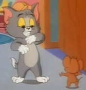Tim Cat | Tom and Jerry Kids Show Wiki | Fandom