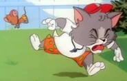 Chumpy Chums | Tom and Jerry Kids Show Wiki | Fandom