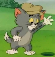 Tom Cat | Tom and Jerry Kids Show Wiki | Fandom