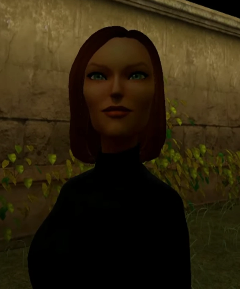 Lady Croft | Tomb Raider Wiki | Fandom