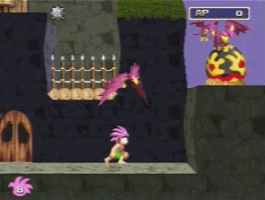 Kokka Birds | Tomba! Wiki | Fandom