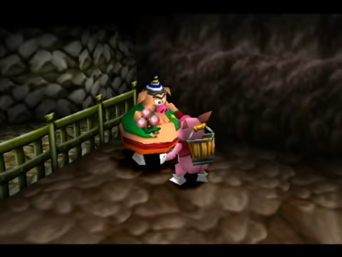 Getwell Plant Heals Wounds | Tomba! Wiki | Fandom