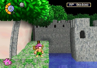 The Underwater Pig Bag | Tomba! Wiki | Fandom