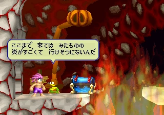 The Fire Pig Bag | Tomba! Wiki | Fandom