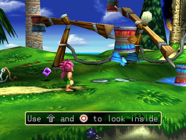 Magic Flowers | Tomba! Wiki | Fandom