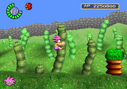 Forest of 100 Flowers | Tomba! Wiki | Fandom