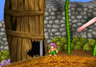What is this? | Tomba! Wiki | Fandom