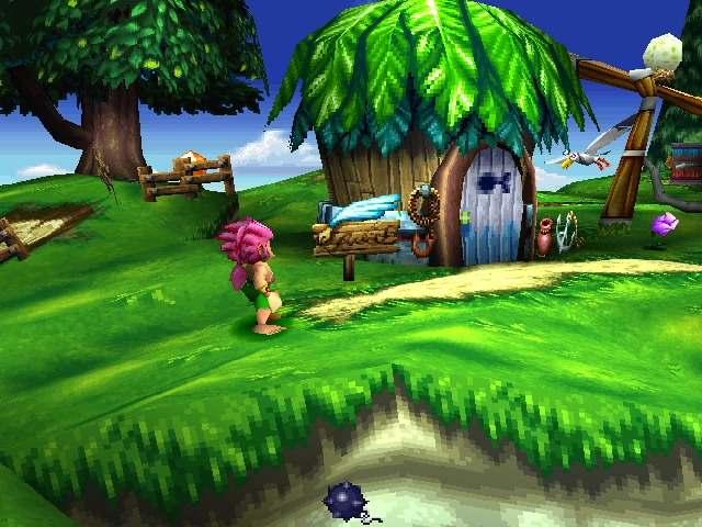 The Starting Beach | Tomba! Wiki | Fandom