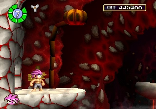 Lava Caves (location) | Tomba! Wiki | Fandom