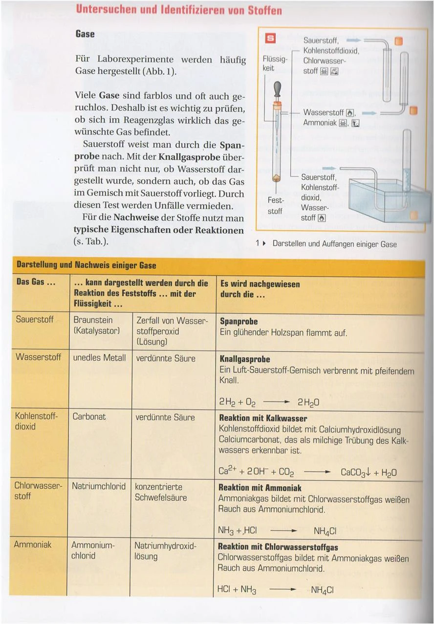 Gase | Tom&Freddi Wiki | Fandom