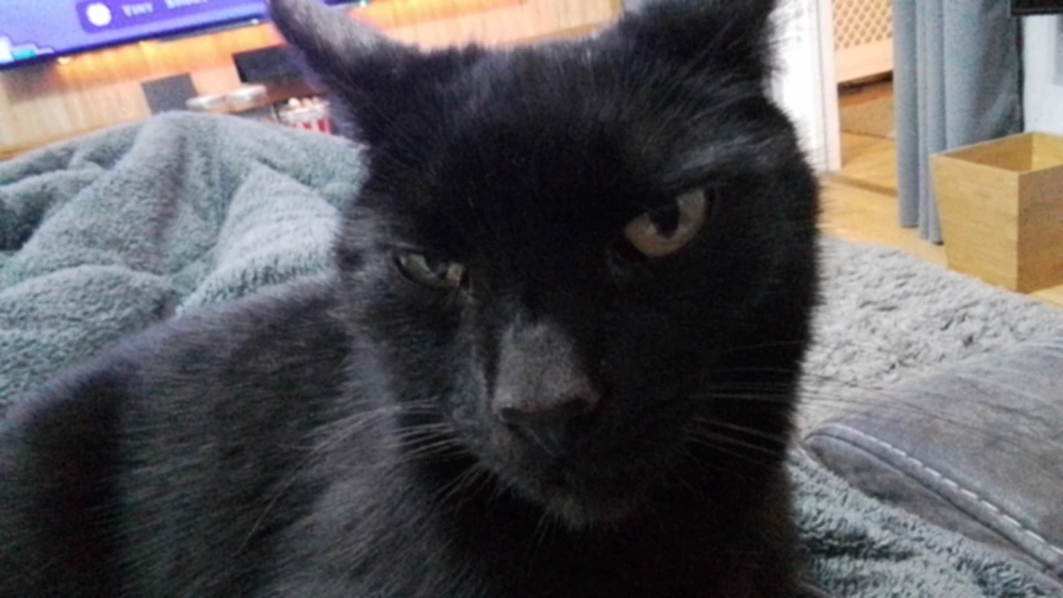 Sucram | Tom Gates Wiki | Fandom