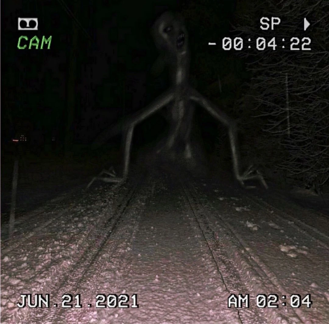 Forgotten Snowman | Tom-Haldfield Wiki | Fandom