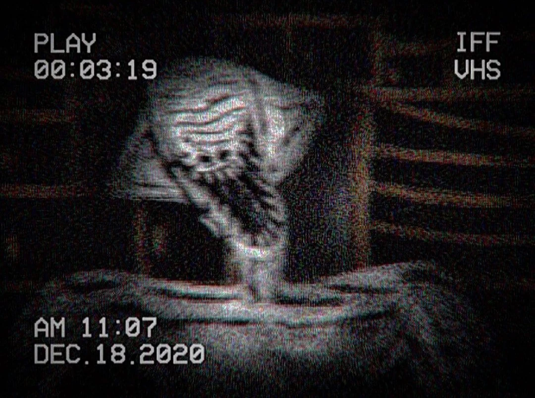 Broken cameras | Tom-Haldfield Wiki | Fandom