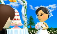 Marriage | Tomodachi Life Wiki | Fandom