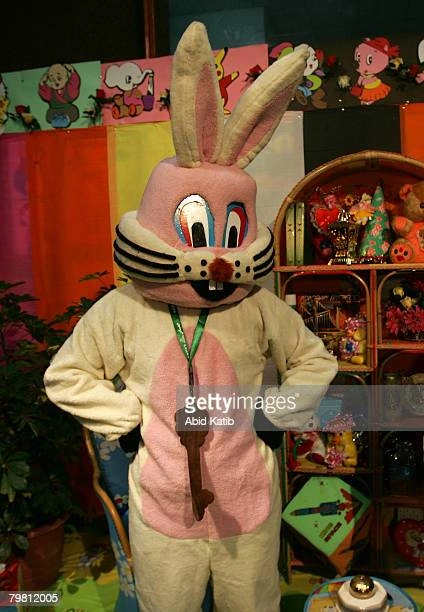 Assoud The Rabbit | Tomorrow's Pioneers Wiki | Fandom