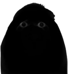 Angry munci | Tom's Studio! | Fandom