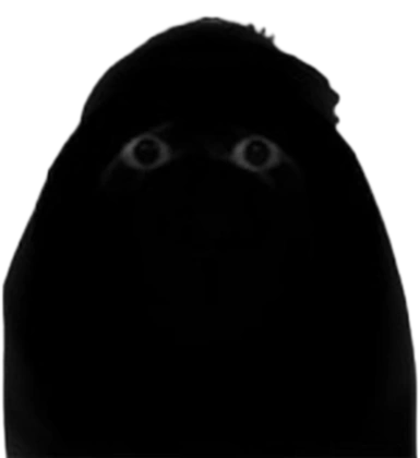 Angry munci | Tom's Studio! | Fandom