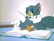 Tom | Wiki Tom y jerry | Fandom