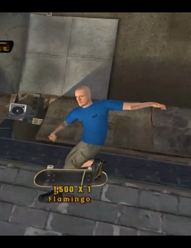 Flamingo | Tony Hawk's Games Wiki | Fandom