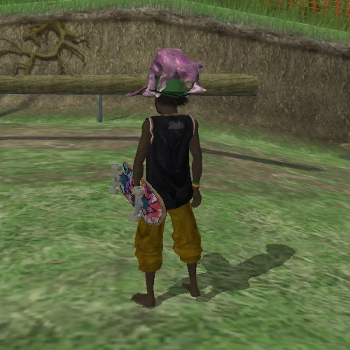 Cat | Tony Hawk's Games Wiki | Fandom