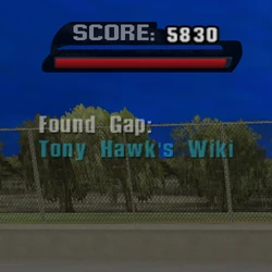 Gap | Игры про Тони Хоука вики | Fandom