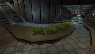 Mall | Tony Hawk's Games Wiki | Fandom