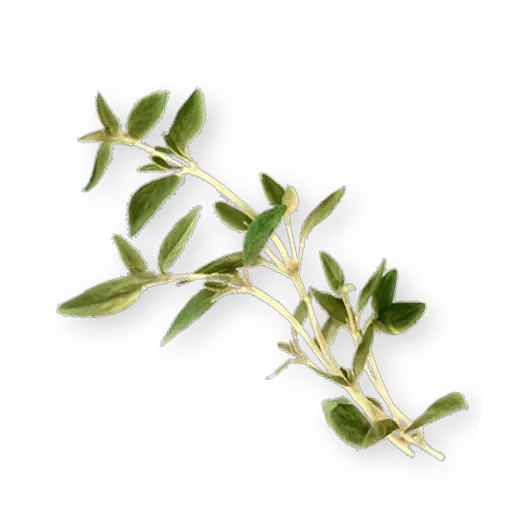 Thyme | Lord of the Rings: Return to Moria Wiki | Fandom Thyme | Lord of the Rings: Return to Moria Wiki | Fandom